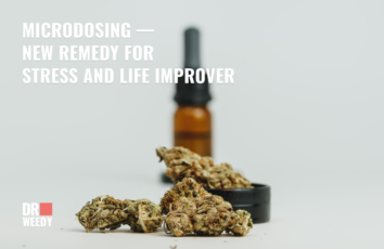 Microdosing Weed: Unleashing Potential and Wellness in Small Steps