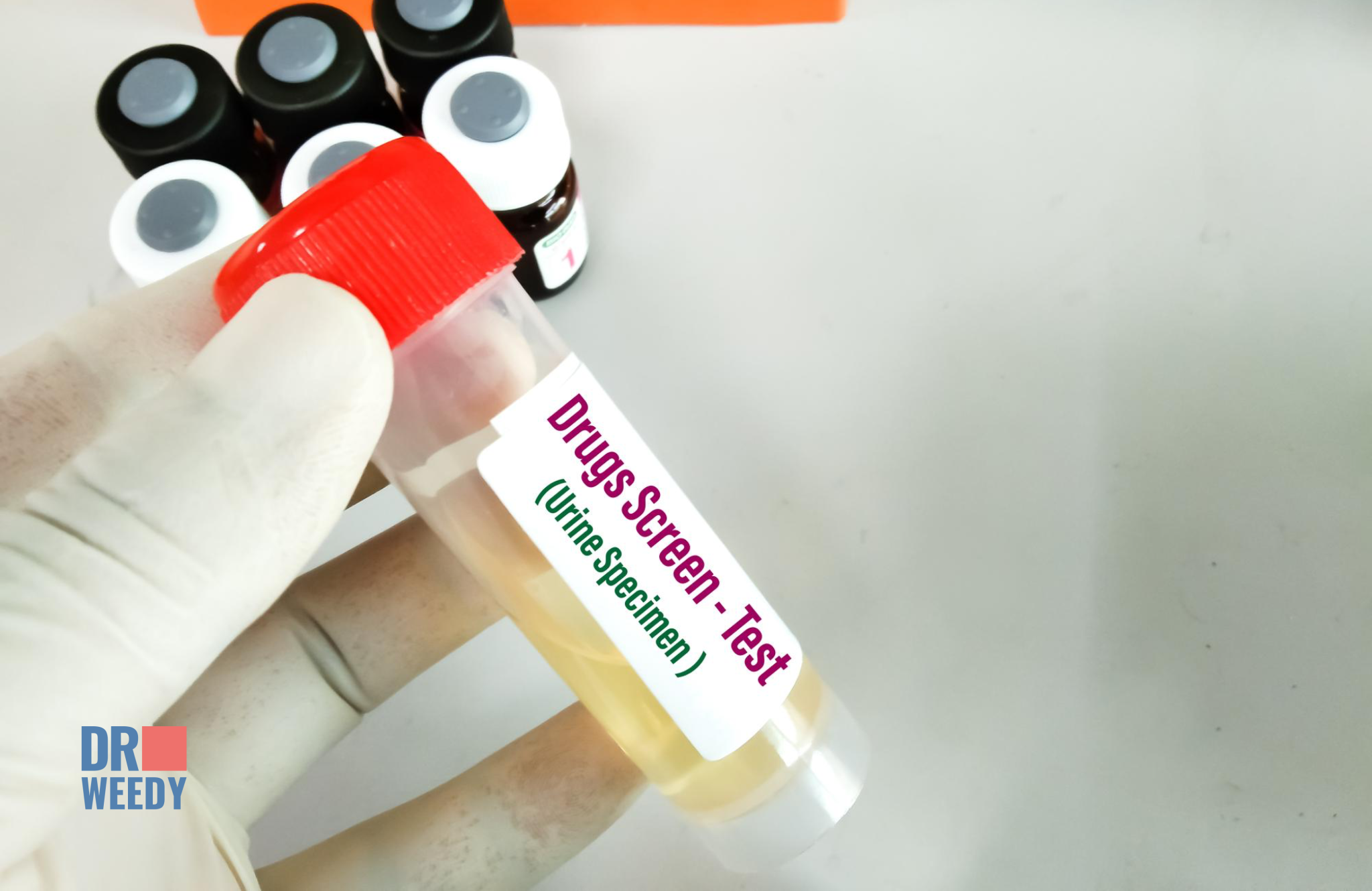 How Long Does THC Stay in the Body - blood and urine tests.