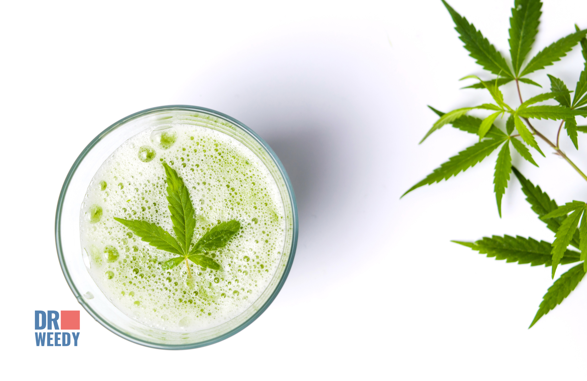 Marijuana Edibles Types: A Comprehensive Guide for 2024