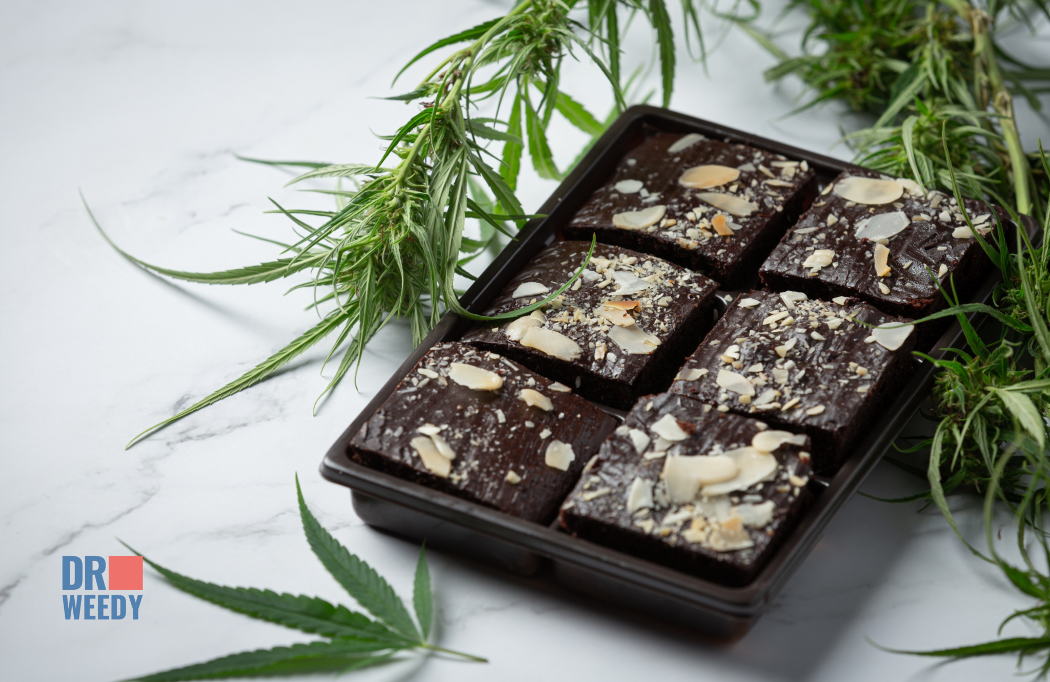 Marijuana Edibles Types: A Comprehensive Guide for 2024