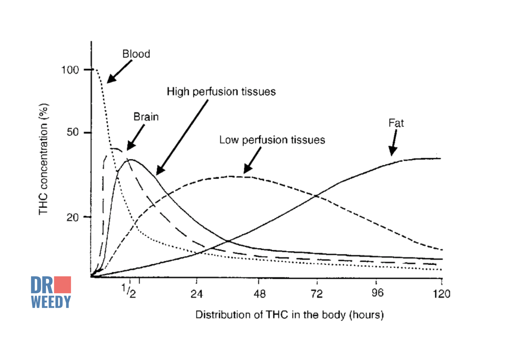 Drug Detection Times for Marijuana in Mouth Swab Tests