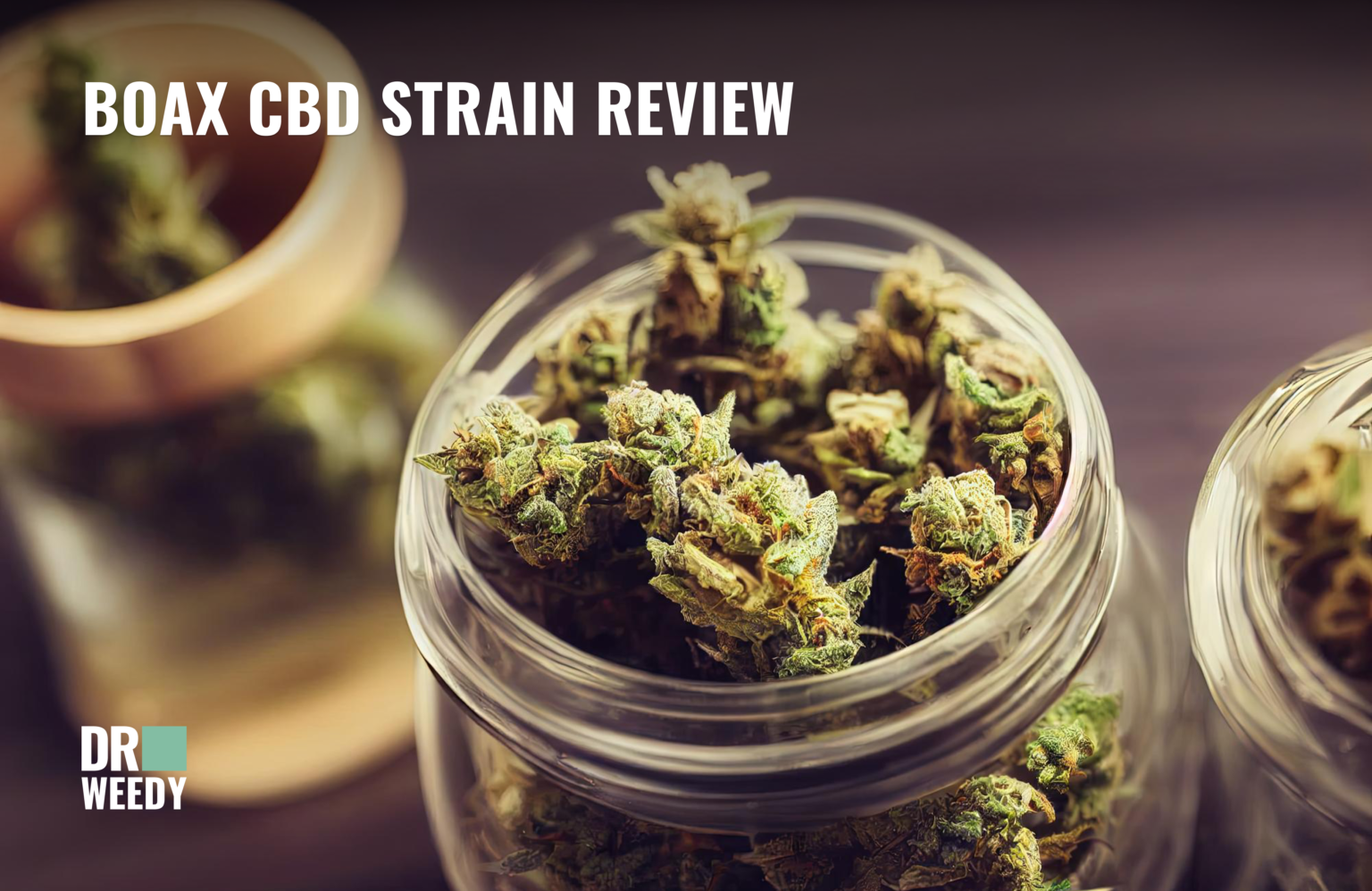 Boax CBD Strain Review: Features and Pros of the Boax Strain